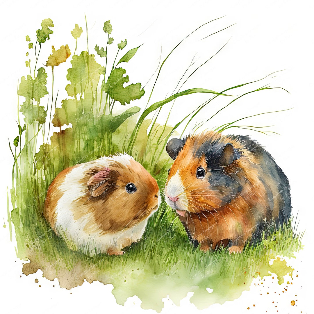 Guinea Pigs on Grass Clipart, Watercolour Image, Instant Digital ...
