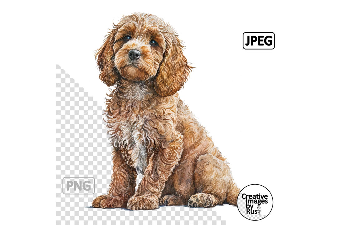 Cockapoo Red Dog Lovely Watercolour Image, Digital Download, High ...
