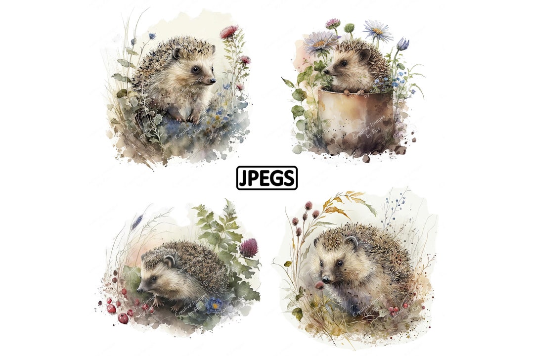 Cute Hedgehog Garden Clipart, Watercolour Image, Instant Digital ...