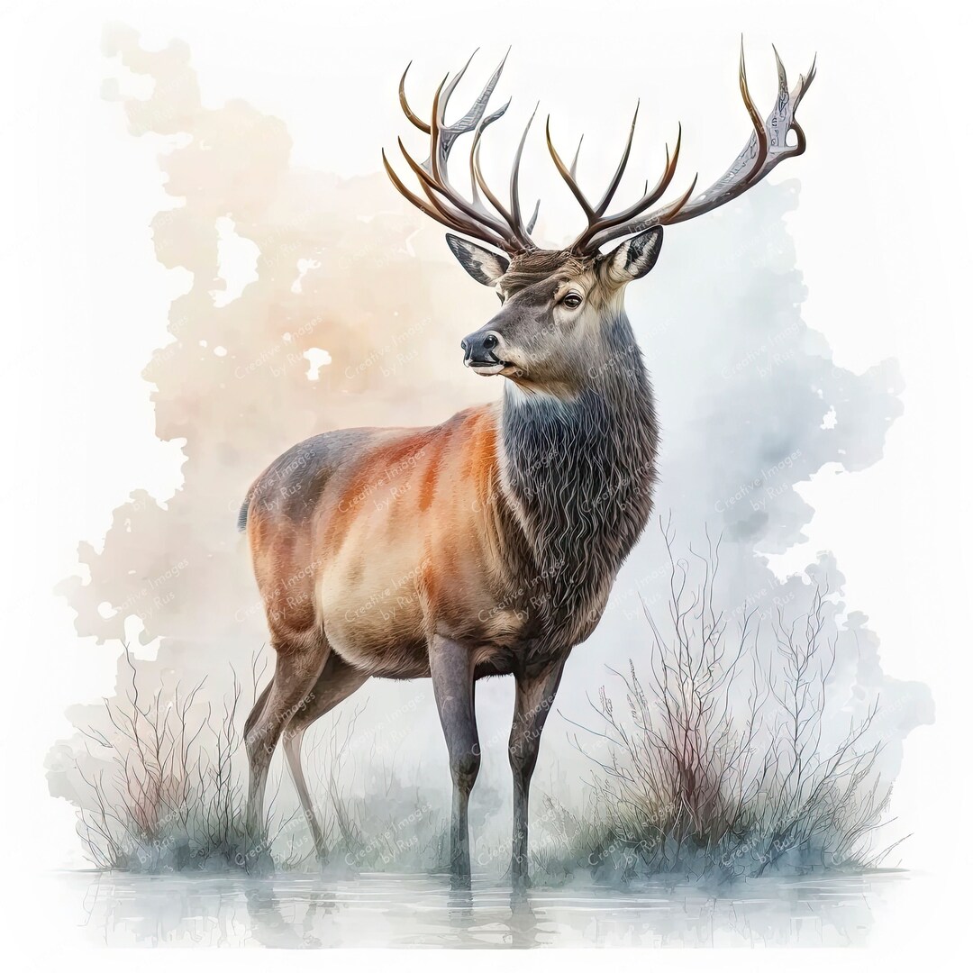 Stag Deer Clipart Watercolour Image Instant Digital - Etsy