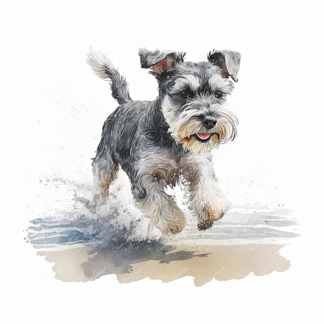 Miniature Schnauzer Dog Beach Clipart, Watercolour Dog Image, Instant ...