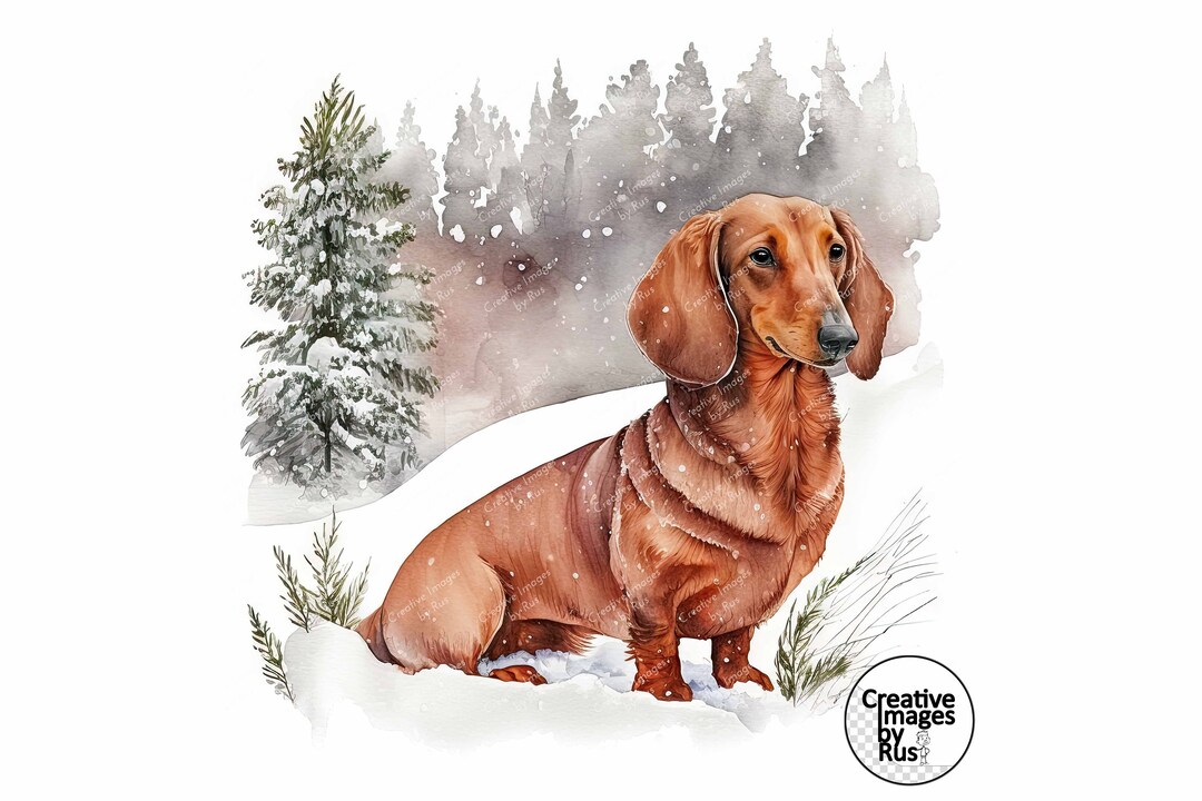 Dachshund Red Clipart, Watercolour Winter Image, Instant Digital ...