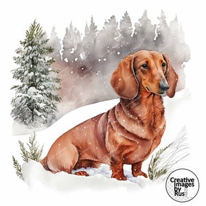 Dachshund Red Clipart, Watercolour Winter Image, Instant Digital ...