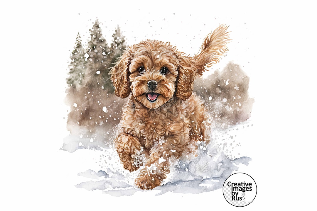 Cavapoo Cream Dog Clipart, Watercolour Winter Image, Instant Digital ...