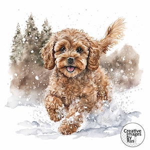 Cavapoo Cream Dog Clipart, Watercolour Winter Image, Instant Digital ...