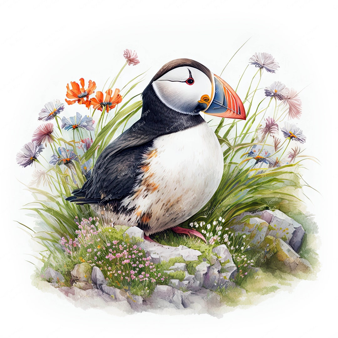 Puffin Bird Clipart, Lovely Watercolour Image, Instant Digital Download ...