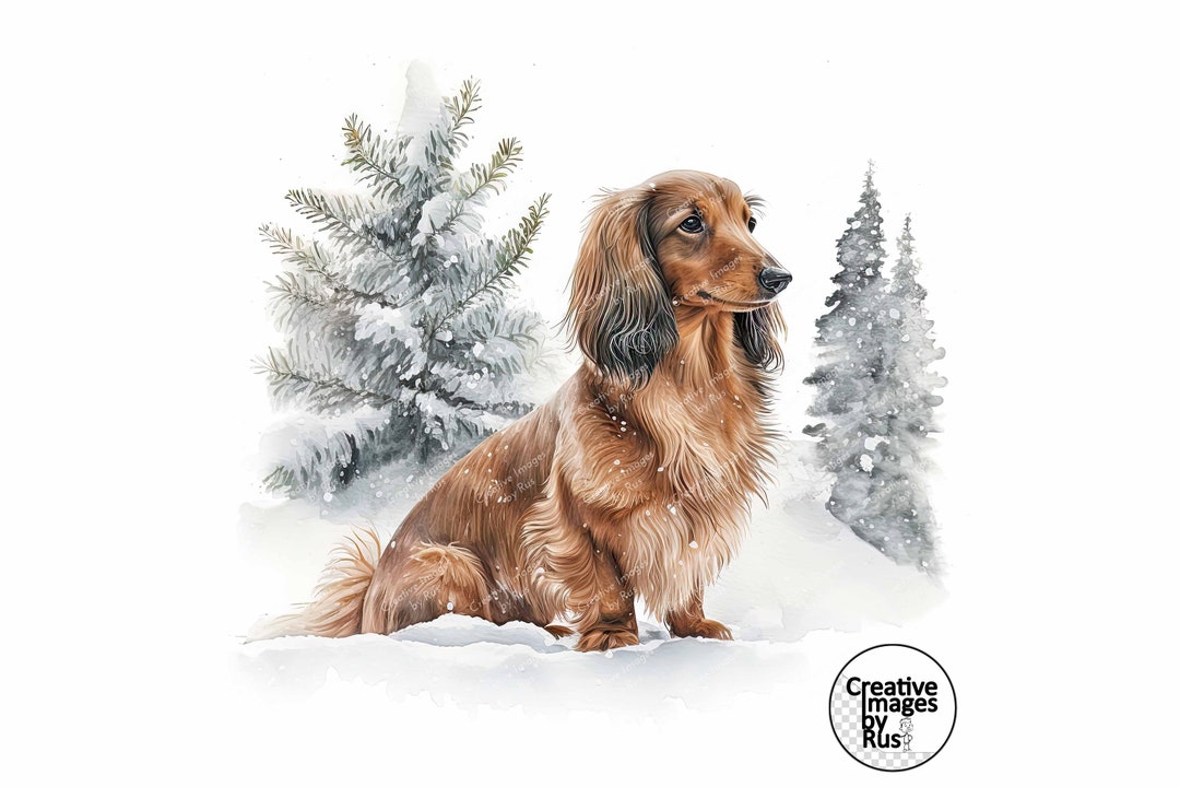 Dachshund Red Dog Clipart, Watercolour Winter Image, Instant Digital ...