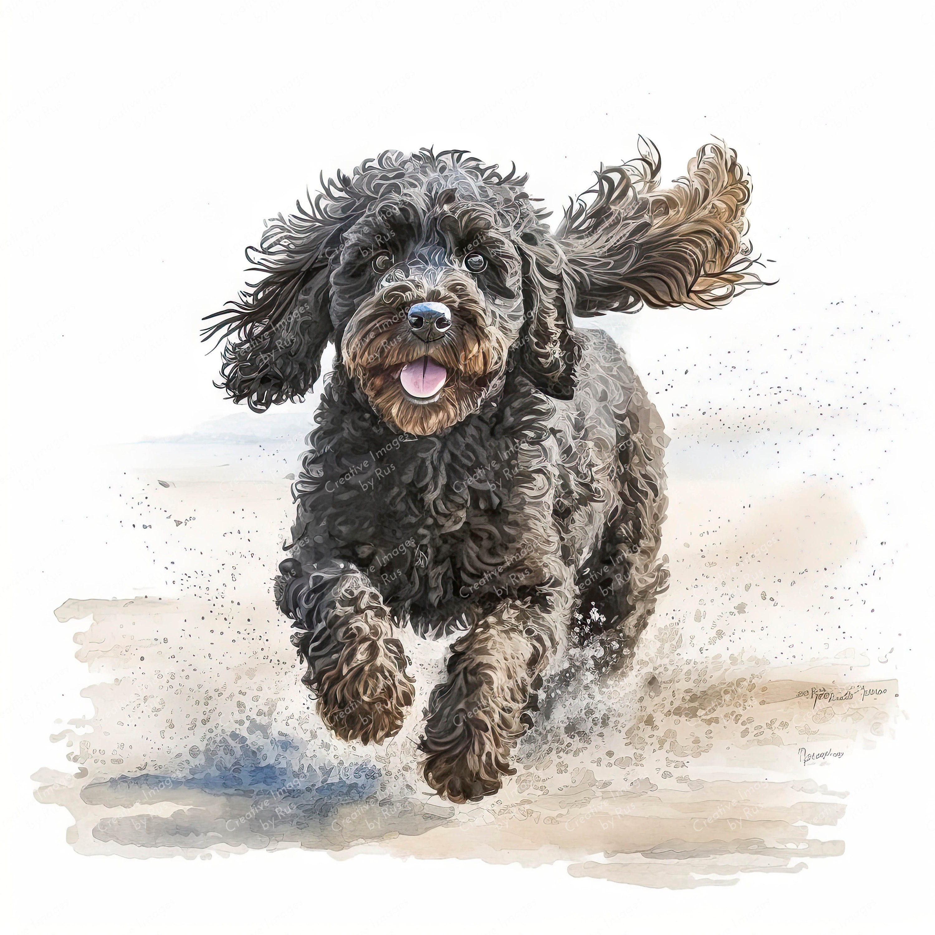 Cockapoo Black Dog Clipart, Lovely Watercolour Image, Instant Digital ...