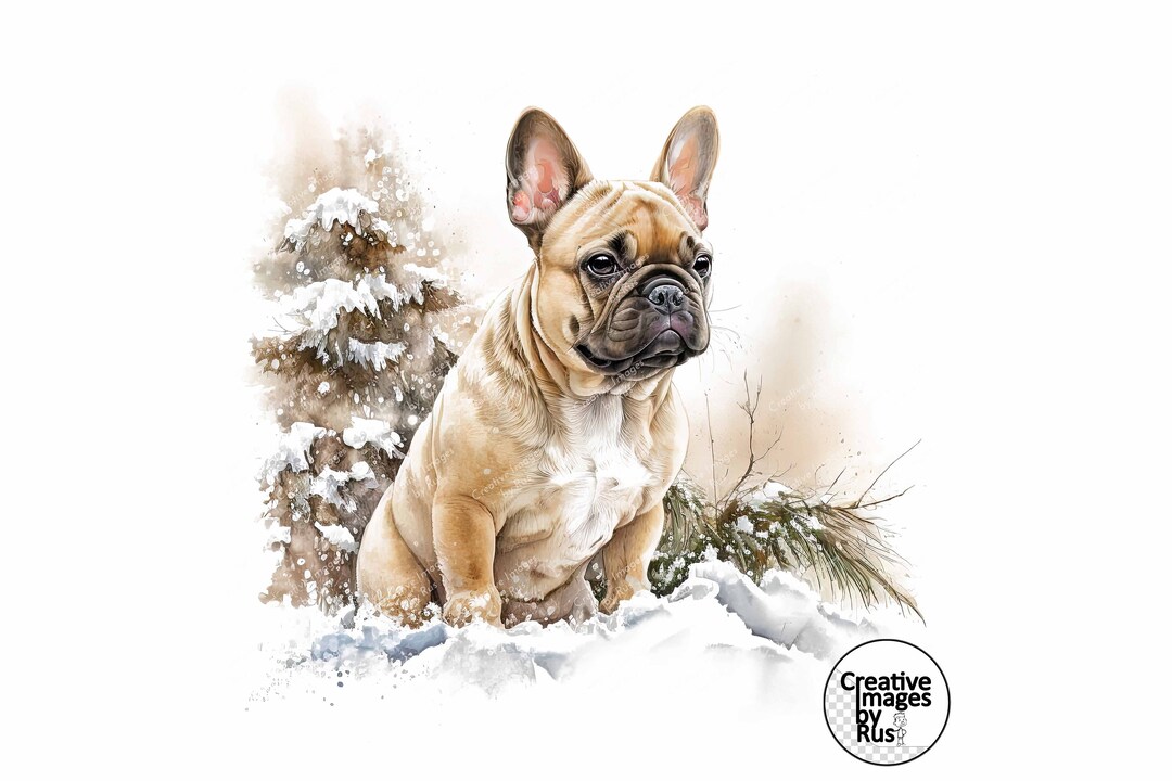 French Bulldog Dog Clipart, Watercolour Winter Image, Instant Digital ...