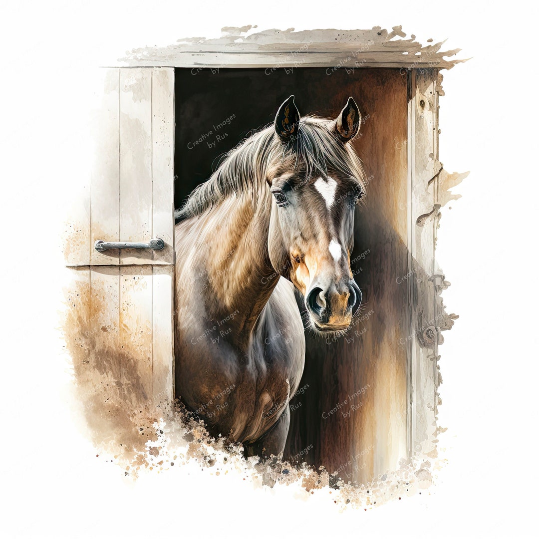 Lovely Horse Clipart, Barn, Lovely Watercolour Image, Instant Digital ...