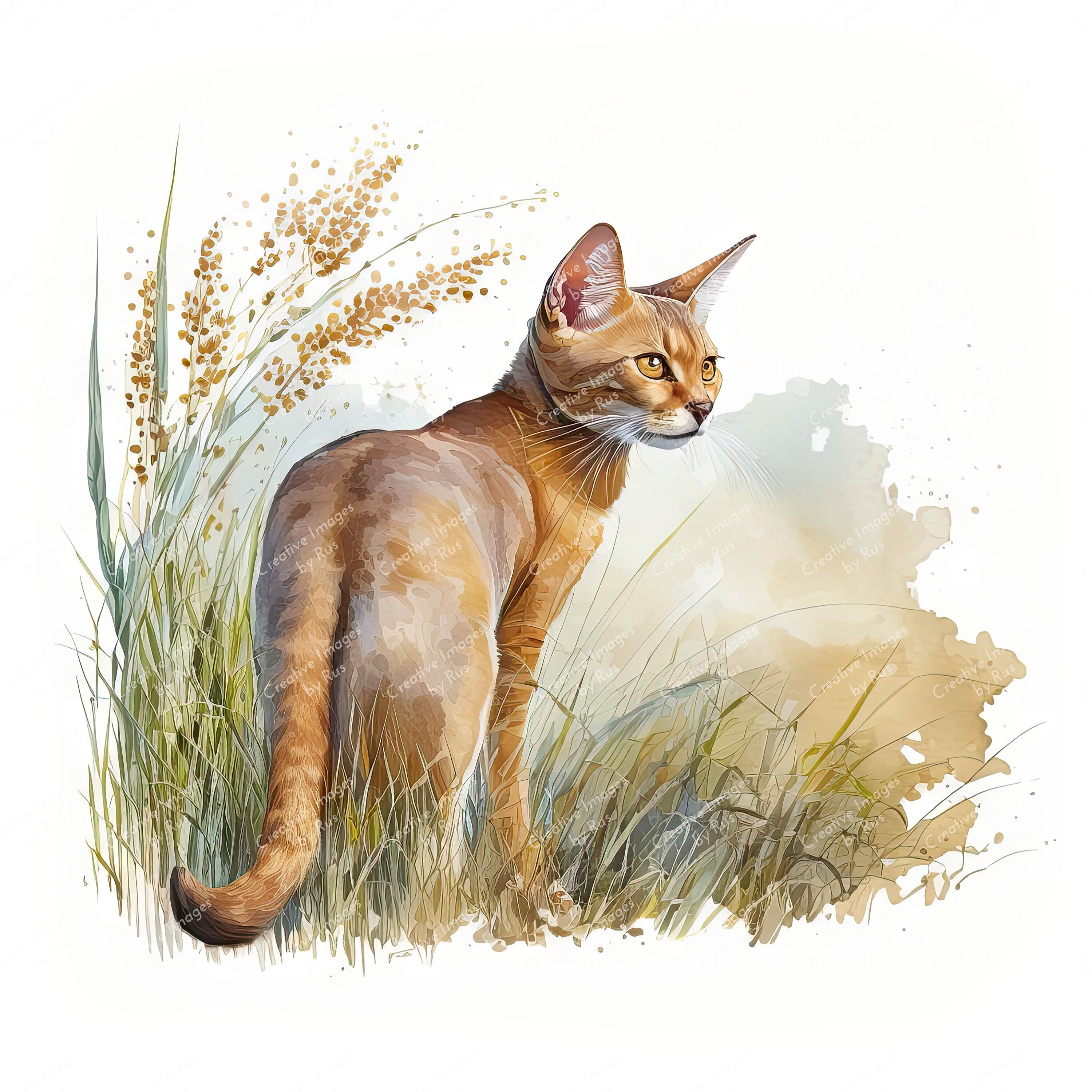 Abyssinian Cat Clipart Lovely Watercolour Image Instant - Etsy