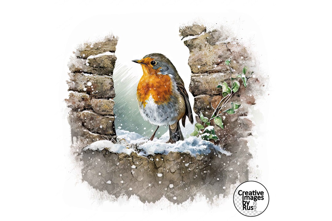 Robin Clipart, Watercolour Winter Image, Instant Digital Download, High ...