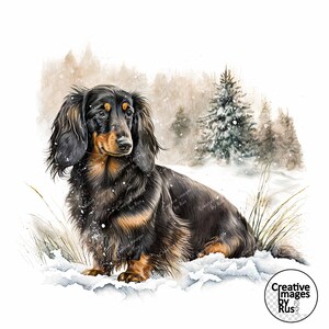 Dachshund Dog Clipart, Watercolour Winter Image, Instant Digital ...