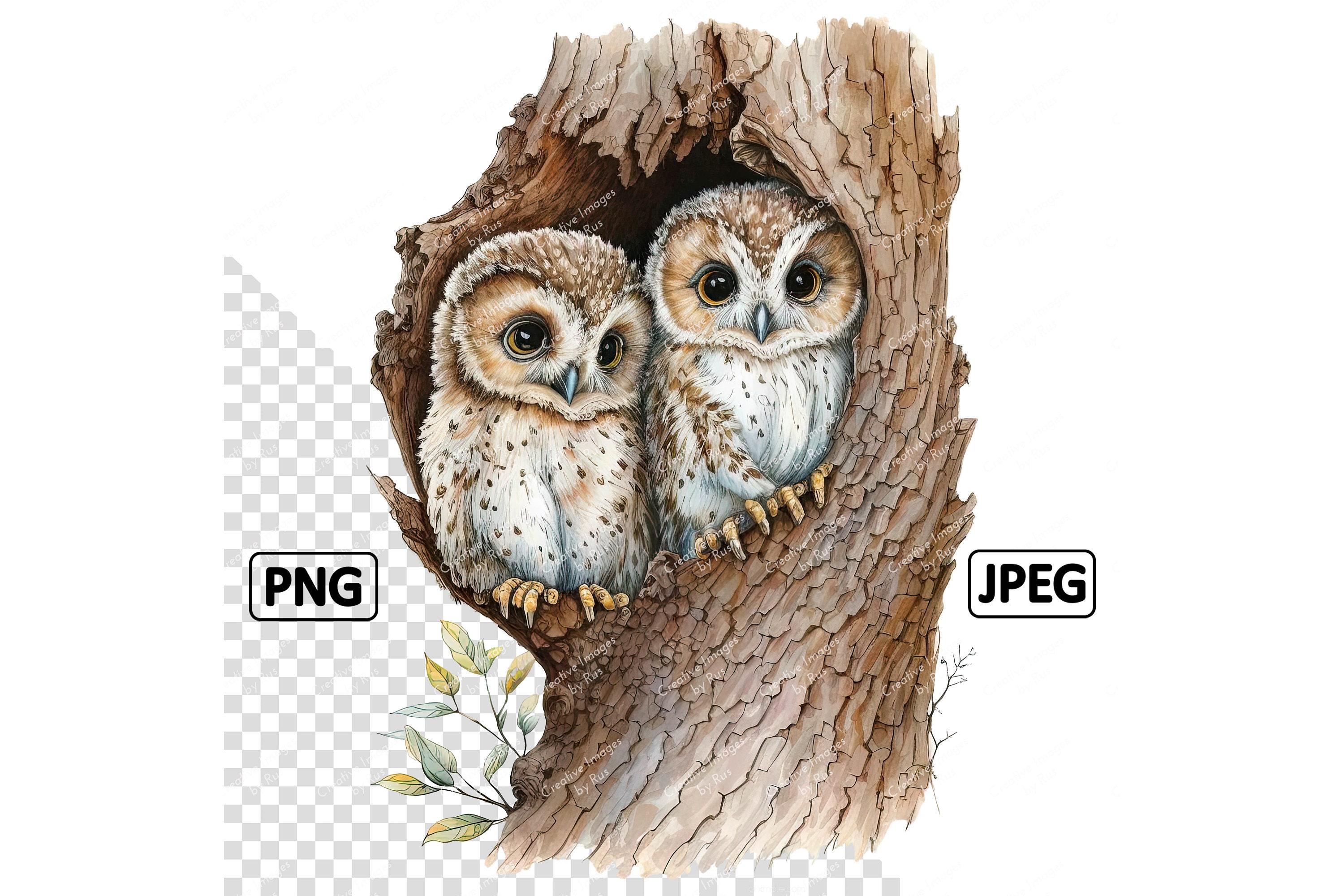 Baby Owls Clipart, Lovely Watercolour Image, Instant Digital Download ...