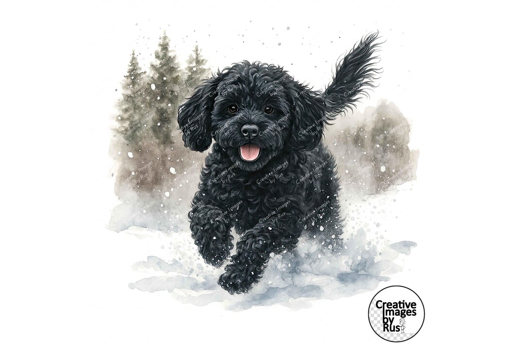 Cavapoo Black Dog Clipart, Watercolour Winter Snow Image, Instant ...