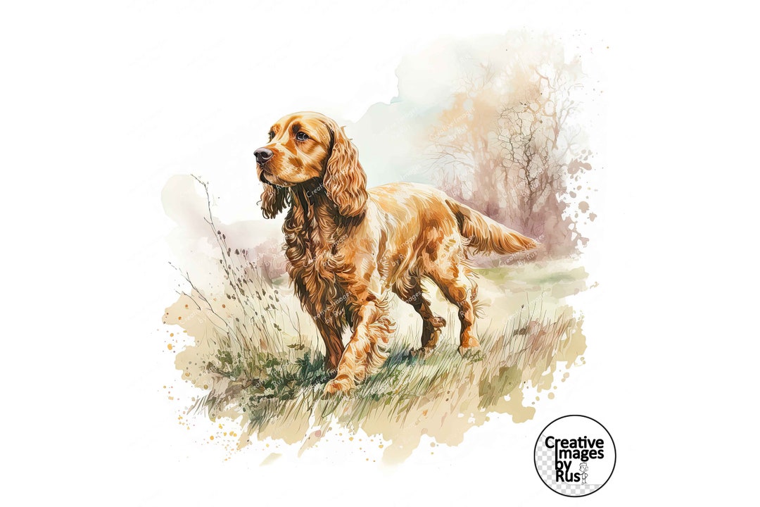 Cocker Spaniel Dog Clipart, Watercolour Spring Image, Instant Digital ...