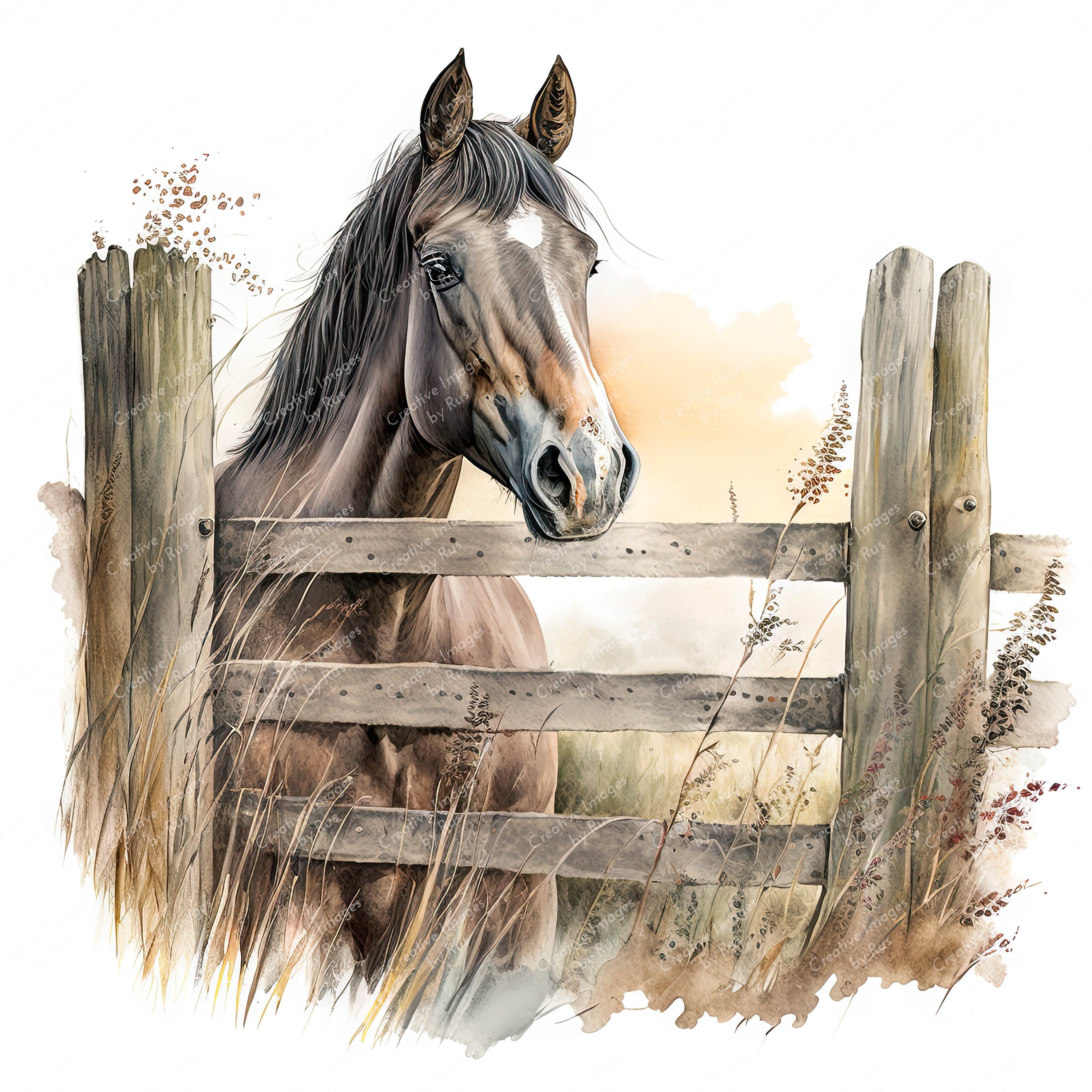 Lovely Horse Clipart Paddock Watercolour Image Instant - Etsy