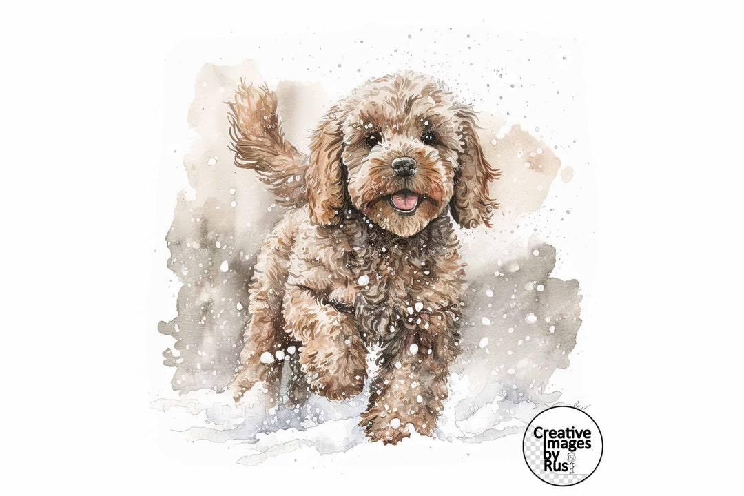 Cockapoo Brown Dog Clipart, Watercolour Winter Image, Instant Digital ...