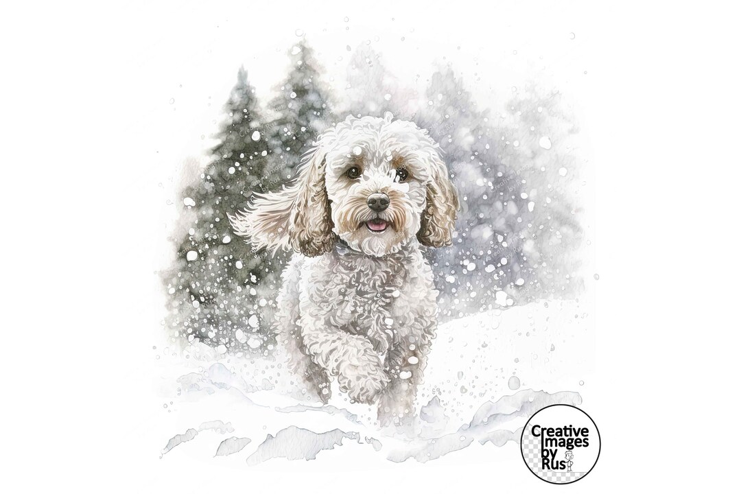 Cockapoo White Dog Clipart, Watercolour Winter Image, Instant Digital ...
