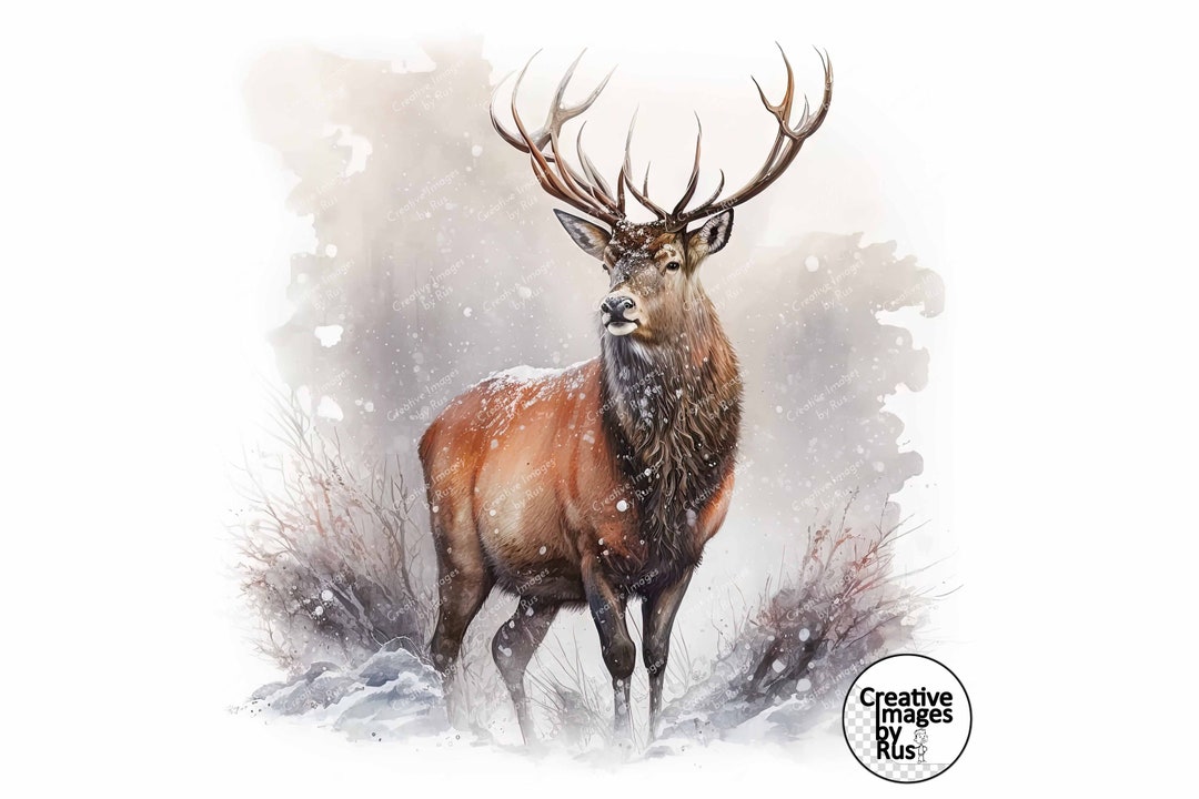Stag Clipart, Watercolour Winter Image, Instant Digital Download, High ...