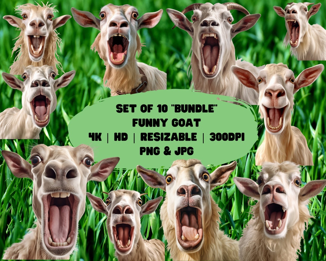 Hilarious Goat Faces Bundle: 10 Funny Goat Heads - Goat Clipart - Goat ...
