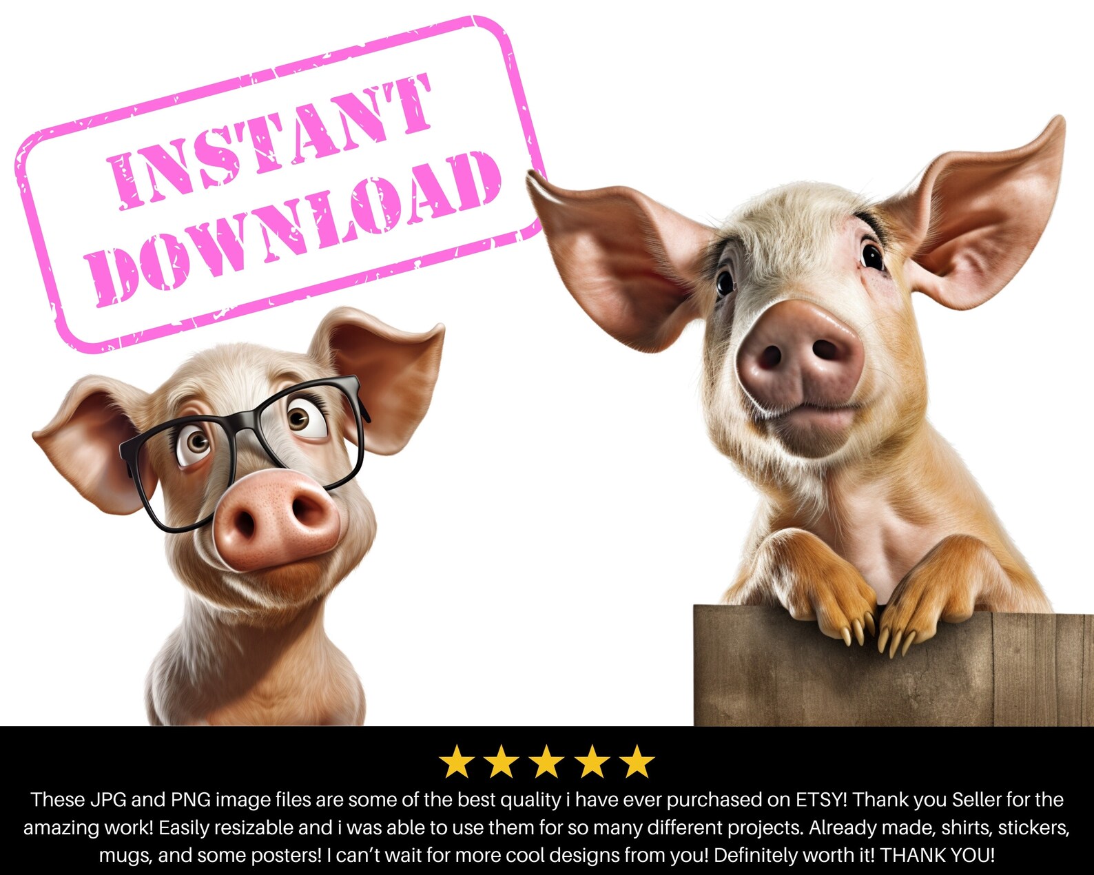 Funny Pig Faces Bundle - 9 Hilarious Pig Expressions - Funny Pig ...