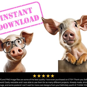 Funny Pig Faces Bundle - 9 Hilarious Pig Expressions - Funny Pig ...