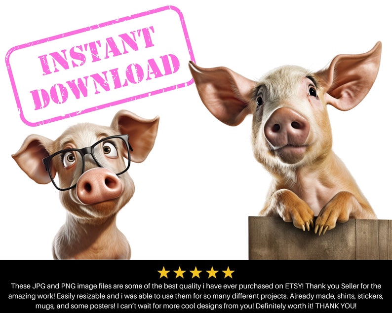Funny Pig Faces Bundle - 9 Hilarious Pig Expressions - Funny Pig ...