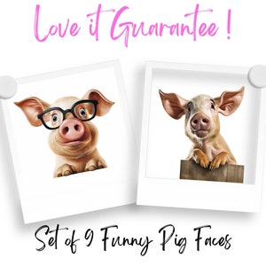 Funny Pig Faces Bundle - 9 Hilarious Pig Expressions - Funny Pig ...