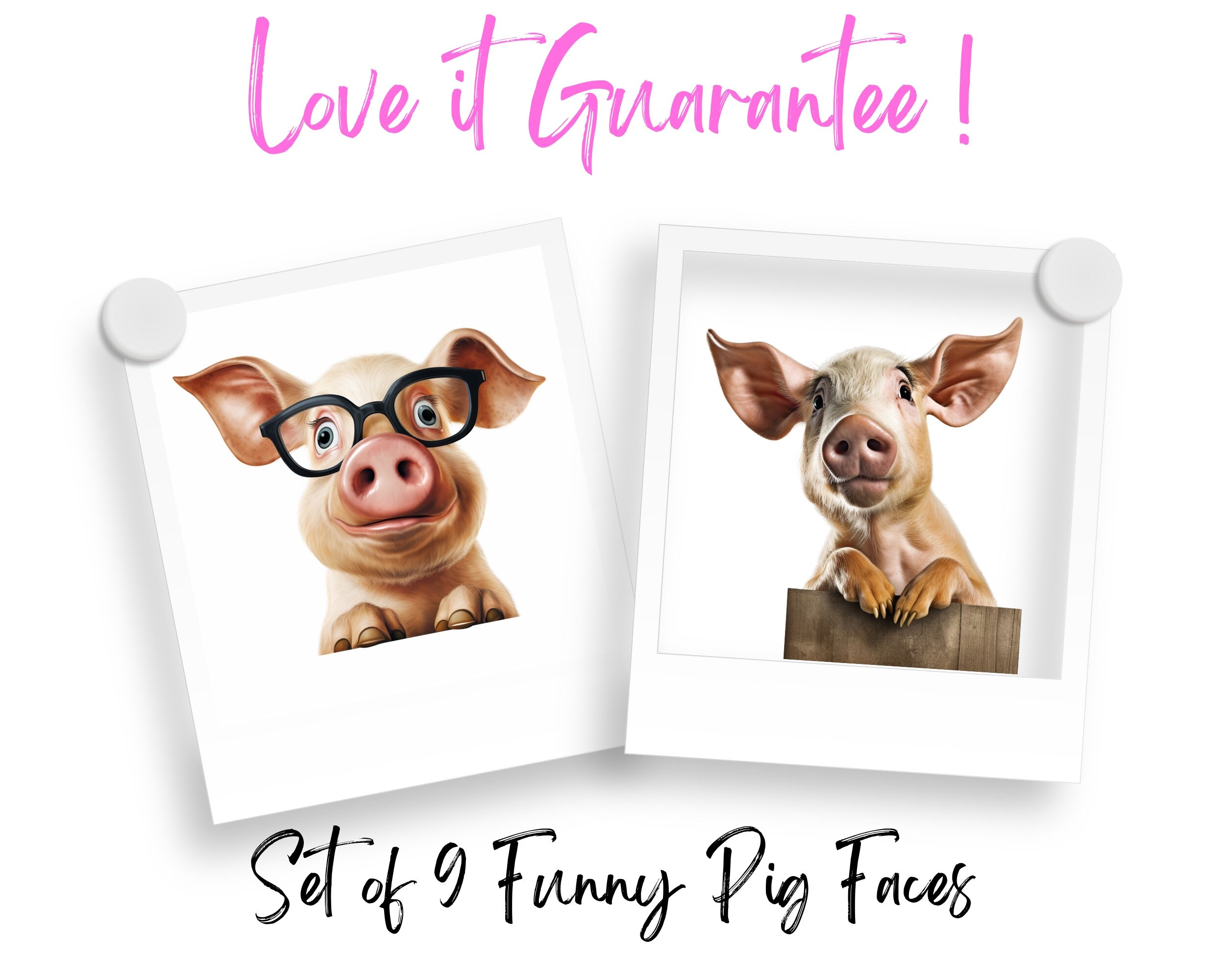 Funny Pig Faces Bundle - 9 Hilarious Pig Expressions - Funny Pig ...