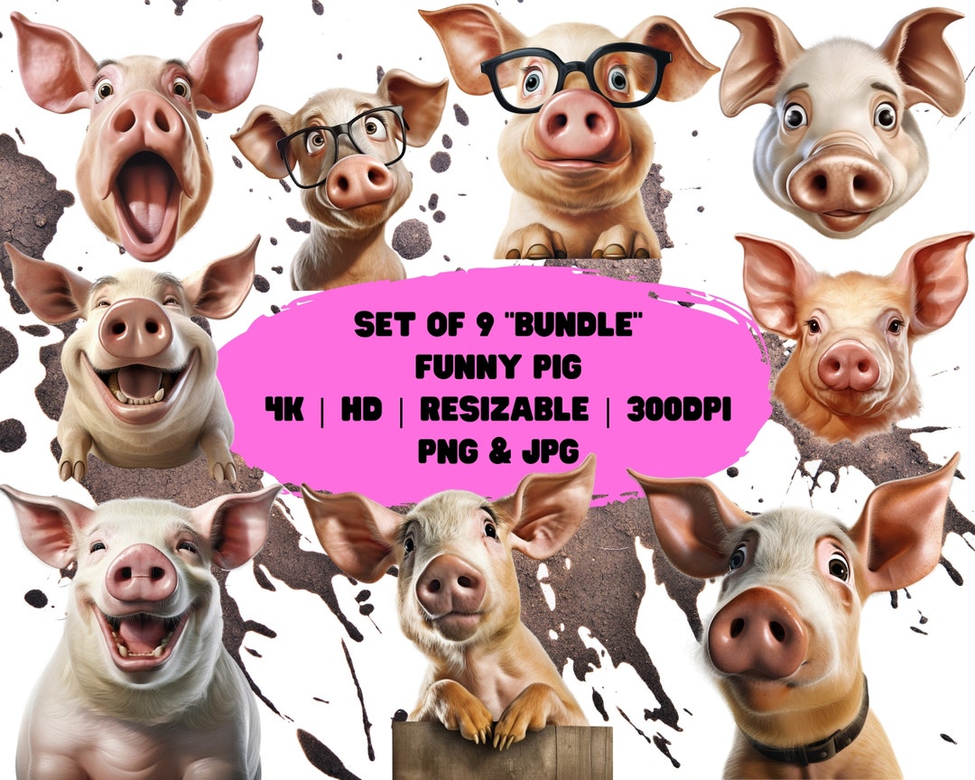 Funny Pig Faces Bundle - 9 Hilarious Pig Expressions - Funny Pig ...
