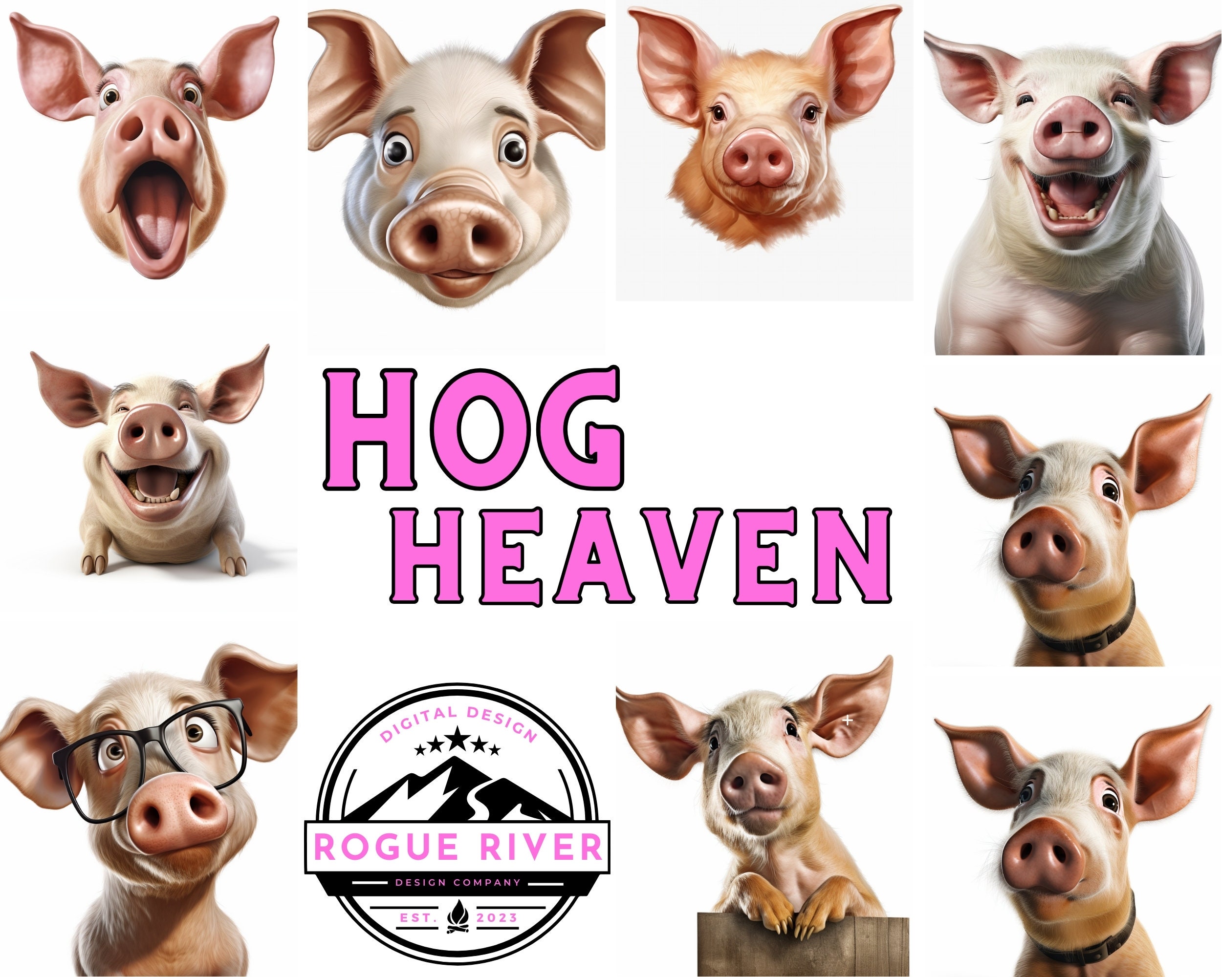 Funny Pig Faces Bundle - 9 Hilarious Pig Expressions - Funny Pig ...