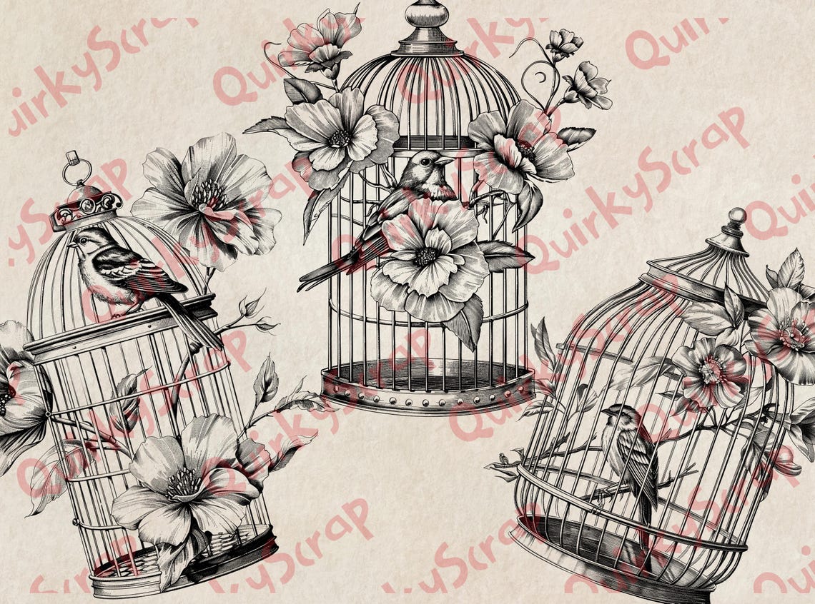 Bird Cages Overlays Clip Art Black Lineart, PNG Digital Clipart Overlay ...