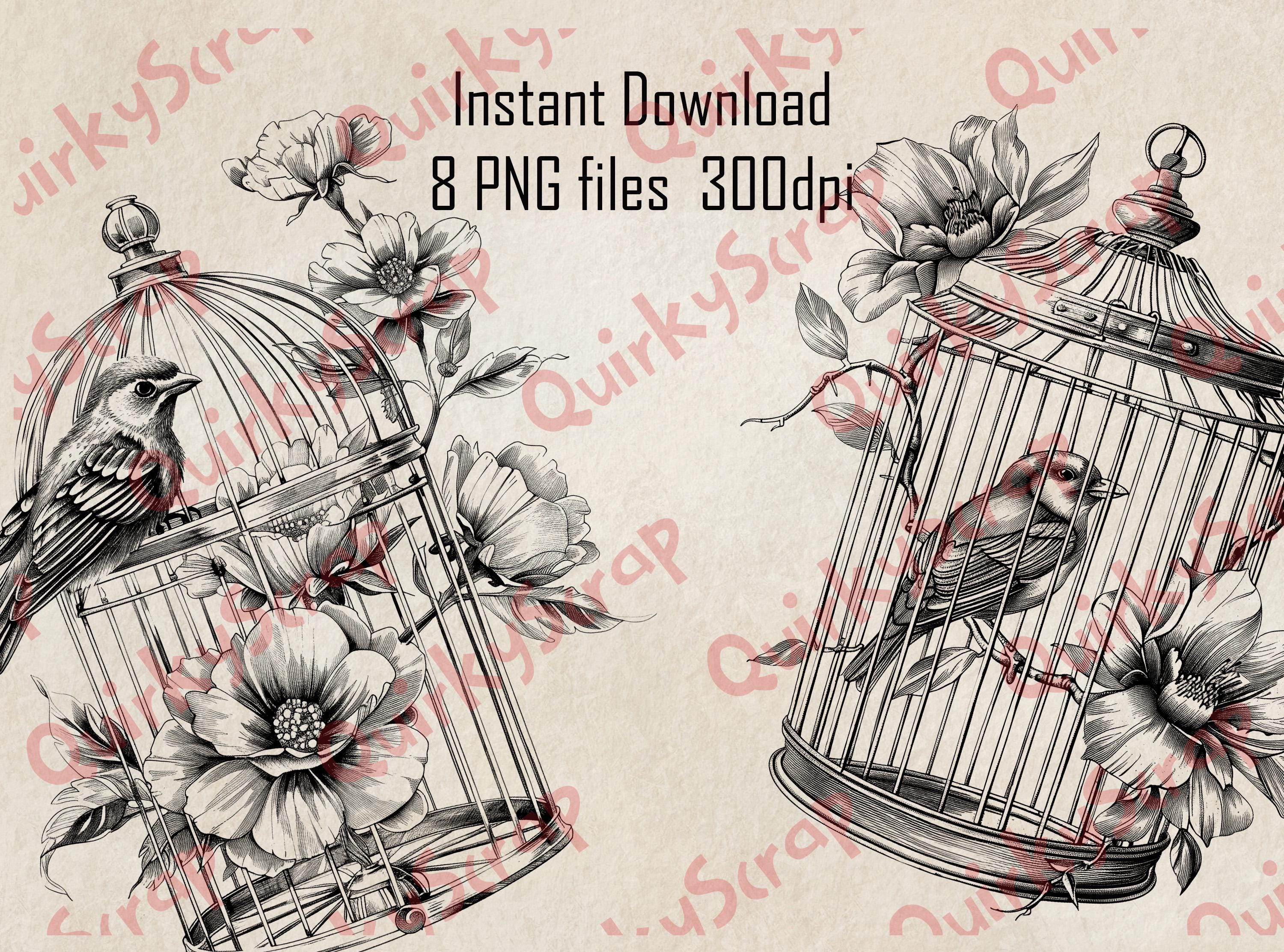 Bird Cages Overlays Clip Art Black Lineart, PNG Digital Clipart Overlay ...