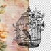 Bird Cages Overlays Clip Art Black Lineart, PNG Digital Clipart Overlay ...