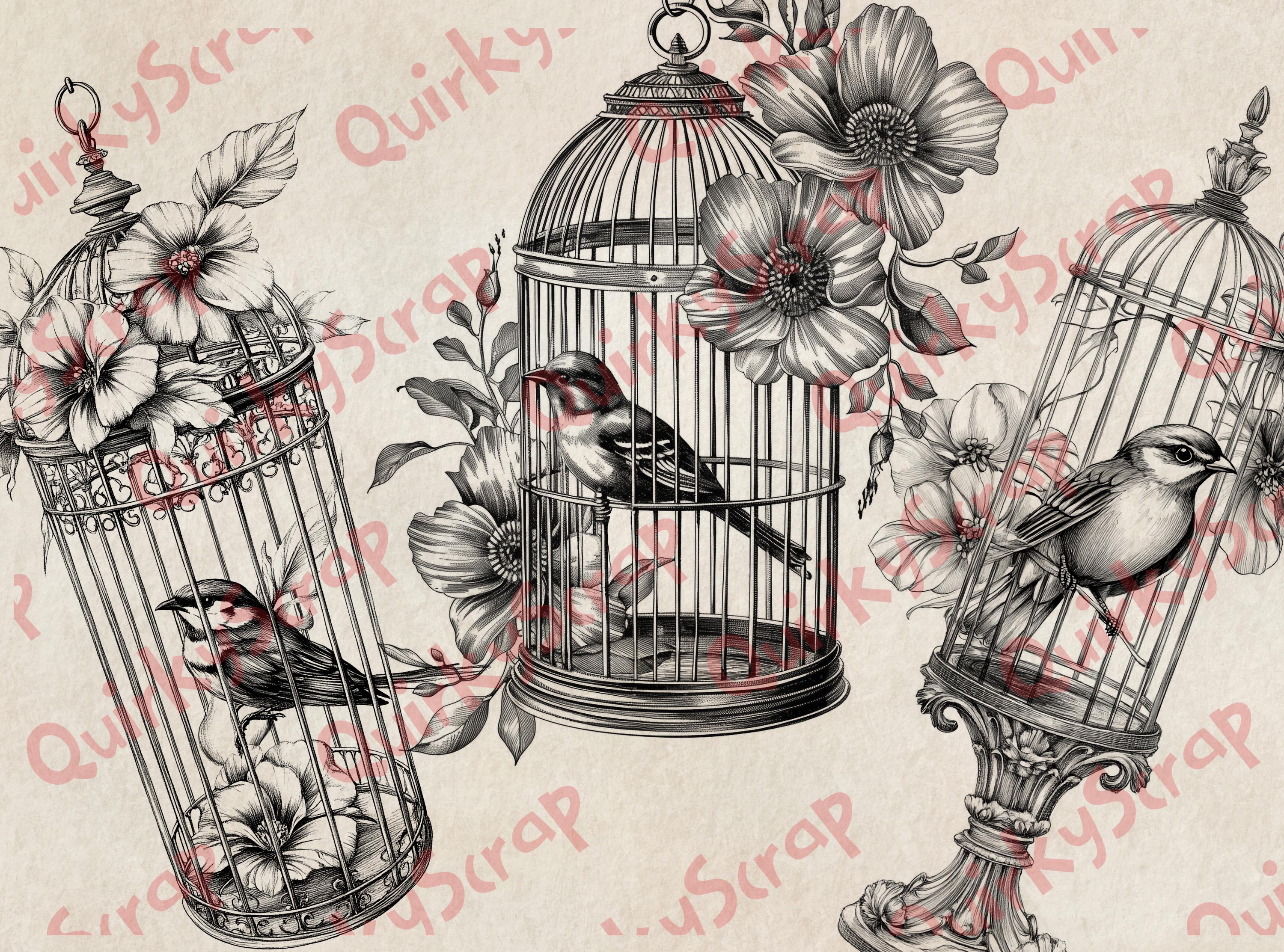 Bird Cages Overlays Clip Art Black Lineart, PNG Digital Clipart Overlay ...