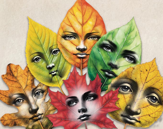 Funny Faces Clipart Set: Whimsical PNG Designs (digital Download ...