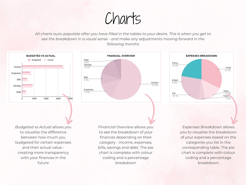 Editable Budget Planner: Google Sheets & Excel Template (digital ...