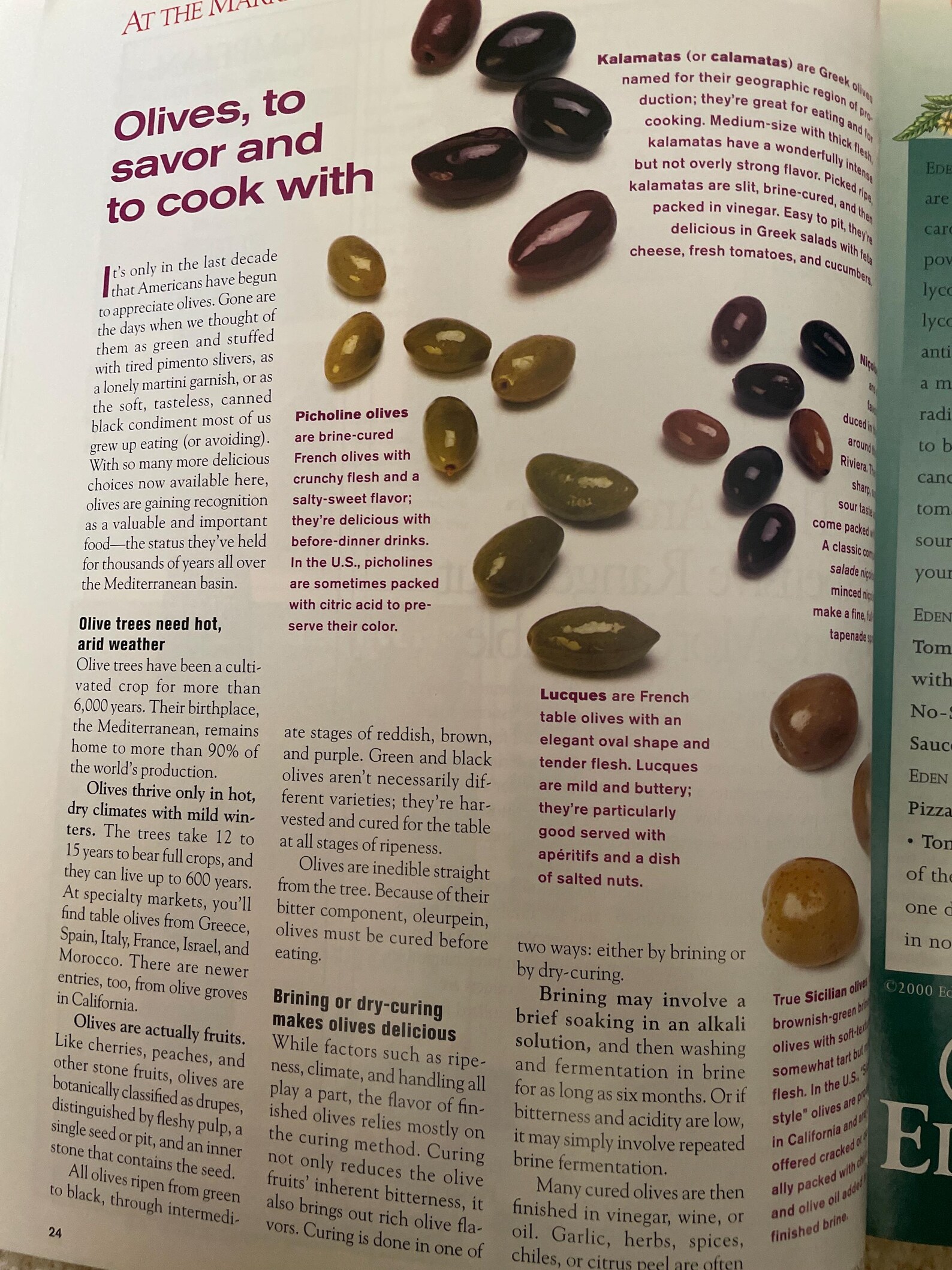 Fine Cooking Magazine Issue #40 - Etsy