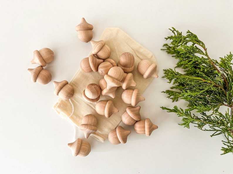 Set of 20 Blank Wooden Acorns, Life-size Wood Acorns for Crafting ...