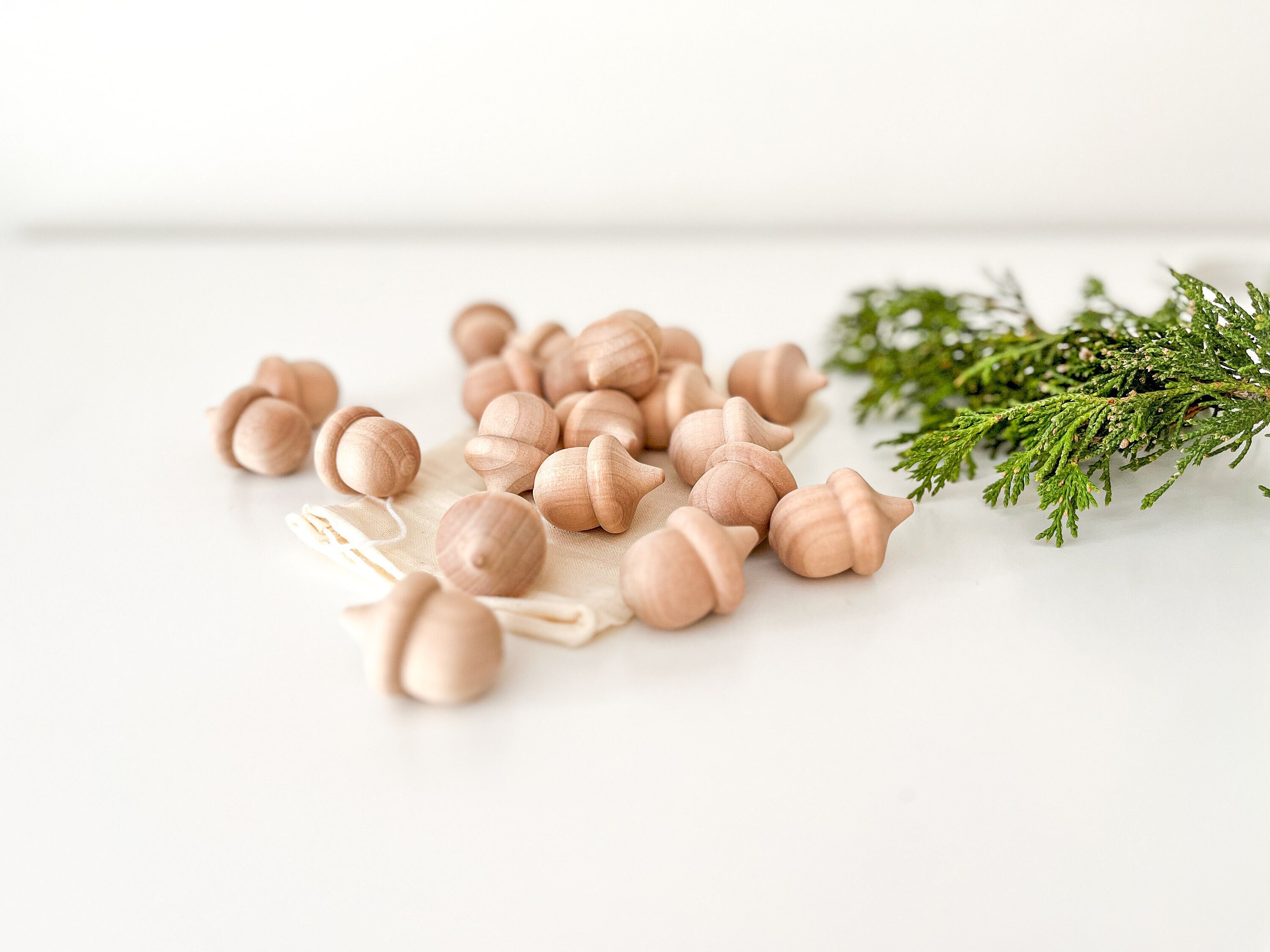 Set of 20 Blank Wooden Acorns, Life-size Wood Acorns for Crafting ...