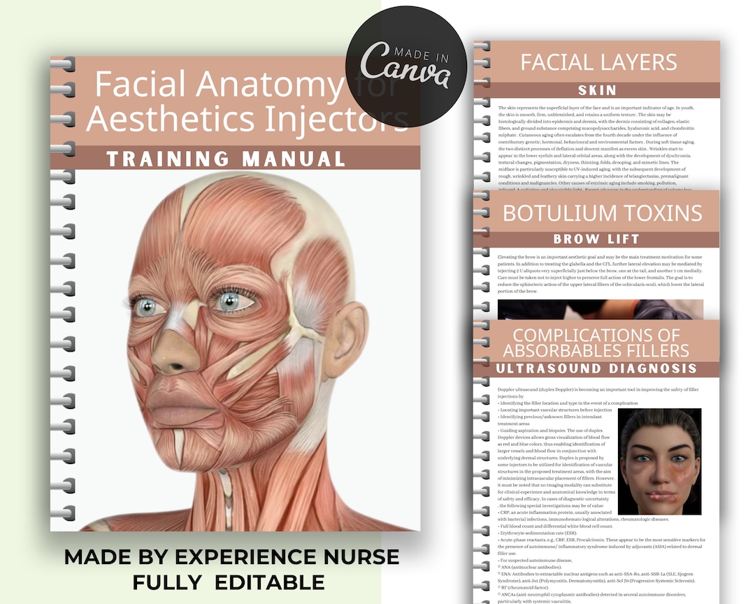Facial Anatomy for Aesthetics Injectors Training Manual, PDF Ebook, Digital Download, Anatomy ...
