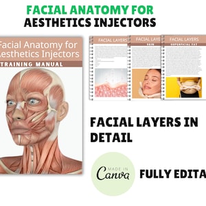 Facial Anatomy for Aesthetics Injectors Training Manual (PDF Ebook) - Etsy