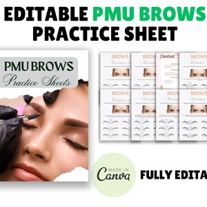 Microblading Brow Patterns, Hair Strokes Practice, Transition Patterns ...