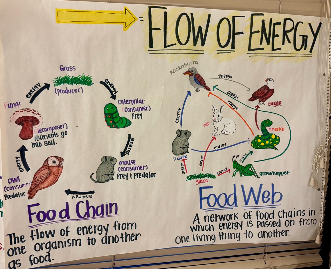 Anchor Charts - Etsy