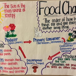 Anchor Charts - Etsy