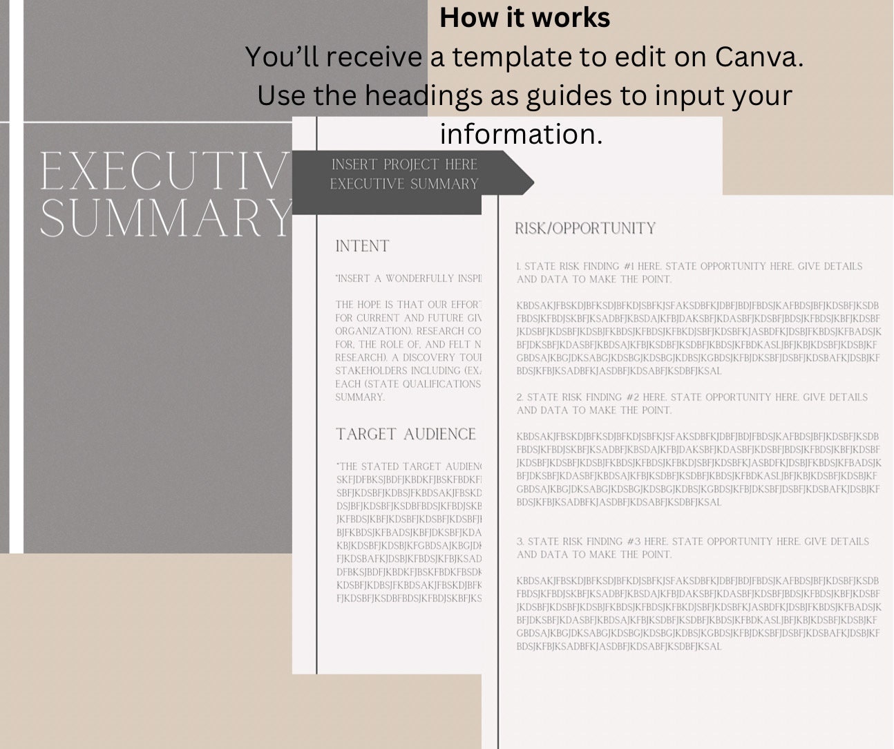 Executive/business Summary Template - Etsy