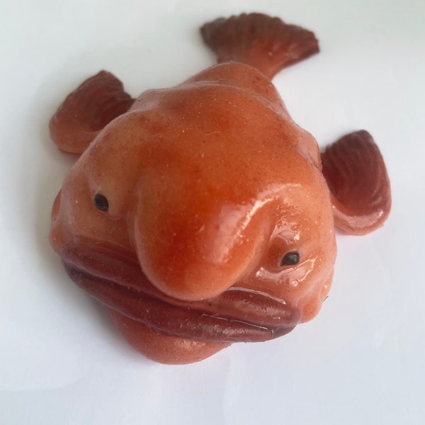 Squishy Blobfish Toy - Etsy