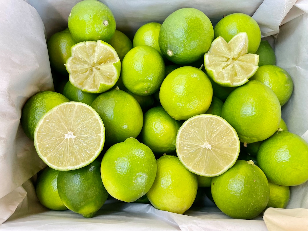 Fresh Seedless Persian Limes Fruit Box, California Locally Grown, Farm ...