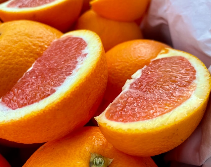Fresh Cara Cara Blood Oranges, Organic, Local Farms, Pink Oranges, Red ...